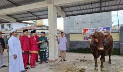 Bupati Gorontalo Serahkan Sapi Qurban BanPres Untuk Masjid Agung ...